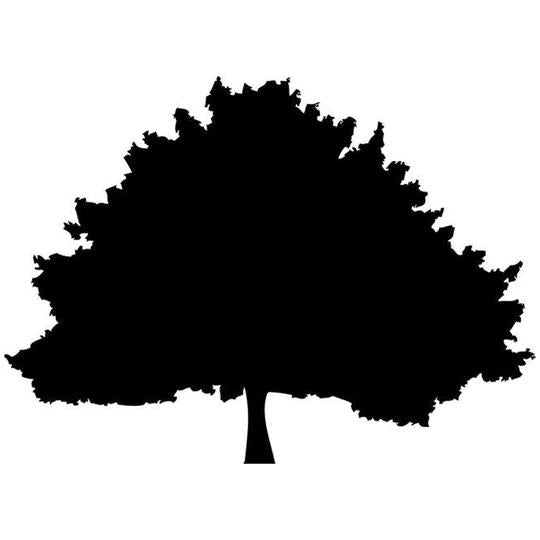 Tree Stencils for Craft Projects